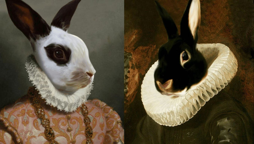 Premium Vegan Handbags, Bag Straps + Wallets | Sans Beast